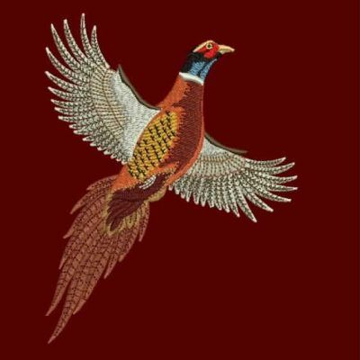 Wilcom Hatch Embroidery Free | Wilcom Smart Design | Cheap Digitizing